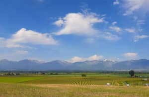 5 Reasons To Visit The Bitterroot Valley - Bitterroot Info