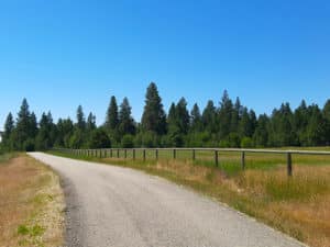 The Bitterroot Trail - Bitterroot Info