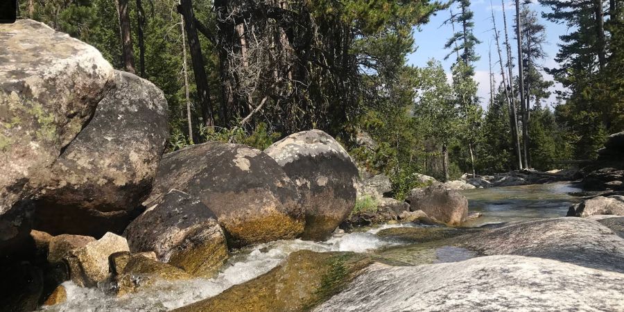 Hiking the Bitterroot Mountains - Bitterroot Info