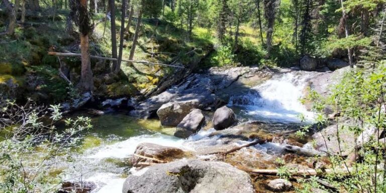 Hiking the Bitterroot Mountains - Bitterroot Info