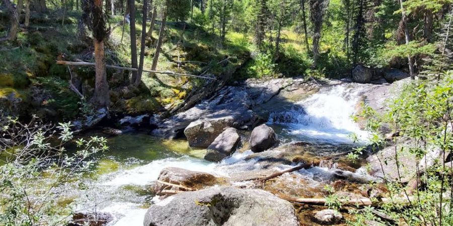 Hiking the Bitterroot Mountains - Bitterroot Info