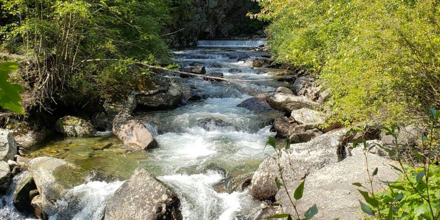 Hiking the Bitterroot Mountains - Bitterroot Info