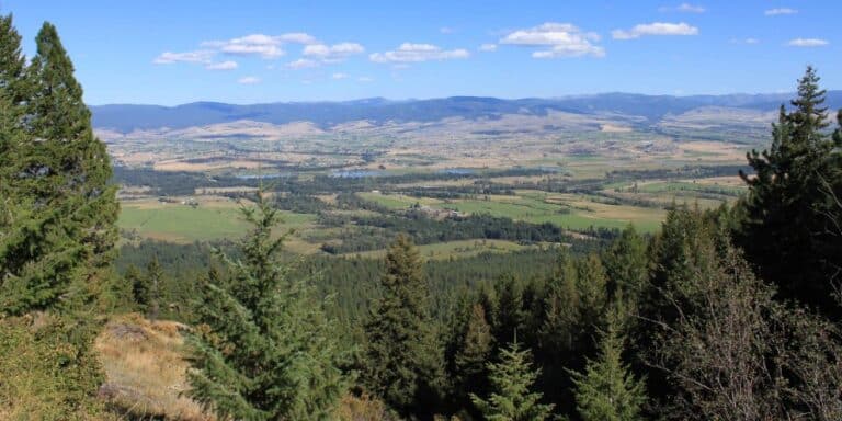 The Sapphire Mountains - Bitterroot Info