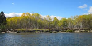 Bitterroot River Streamflow - Bitterroot Info